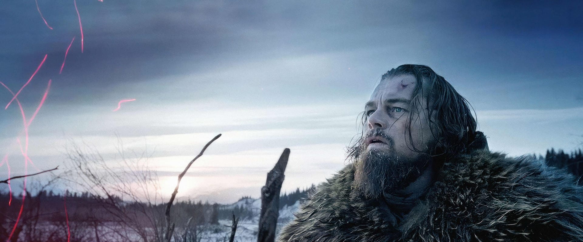 دانلود فیلم از گور برخاسته The Revenant 2015 بدون سانسور با زیرنویس ...